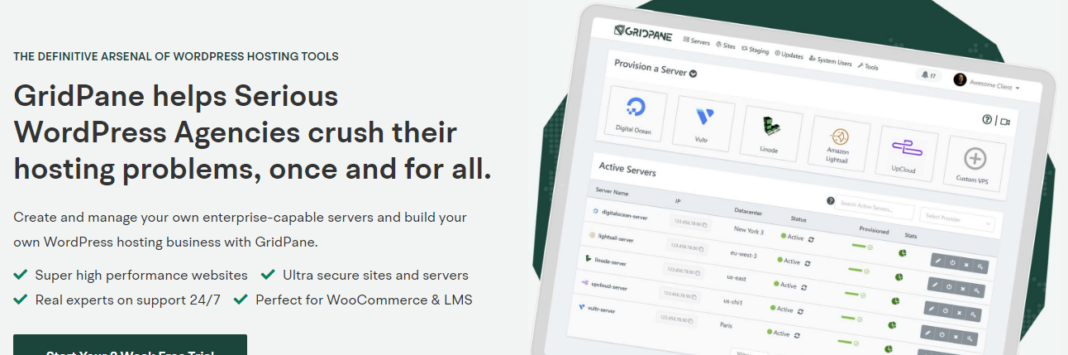 12 Best WordPress Control Panel for Cheap Managed WP Hosting [5 Free, 7 Paid]