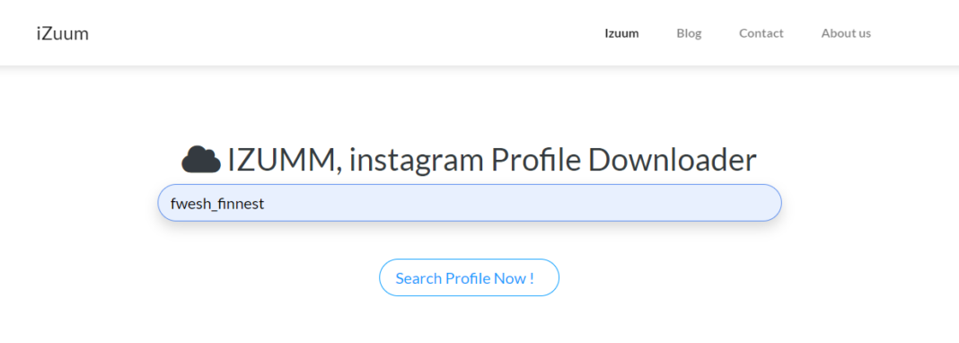 10 Picuki Alternatives to Find Instagram Photos and Videos in 2025