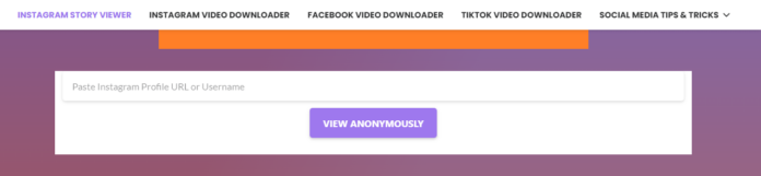 10 Picuki Alternatives to Find Instagram Photos and Videos in 2024